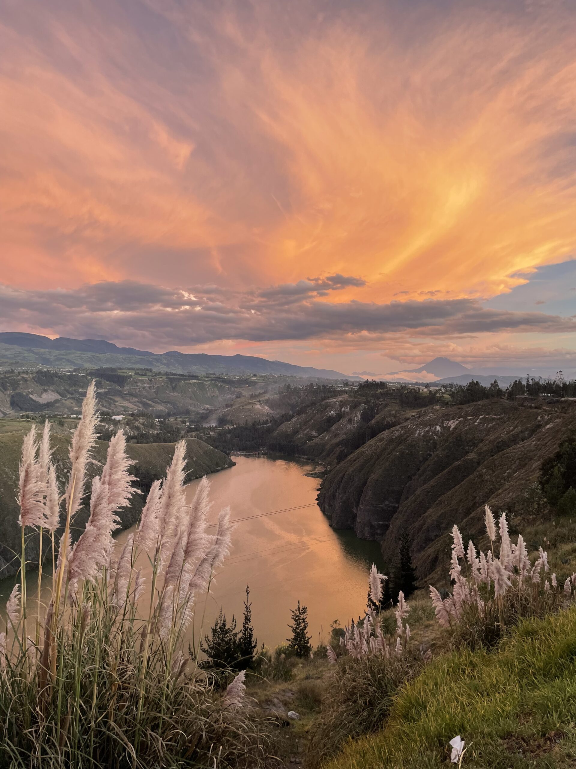 Landing - Fran Maldonado